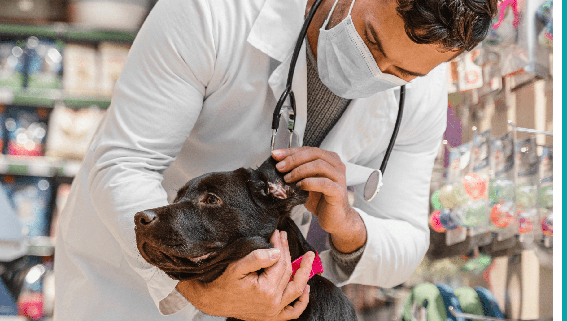 La Medicina Veterinaria es lo Tuyo | Unilasallista